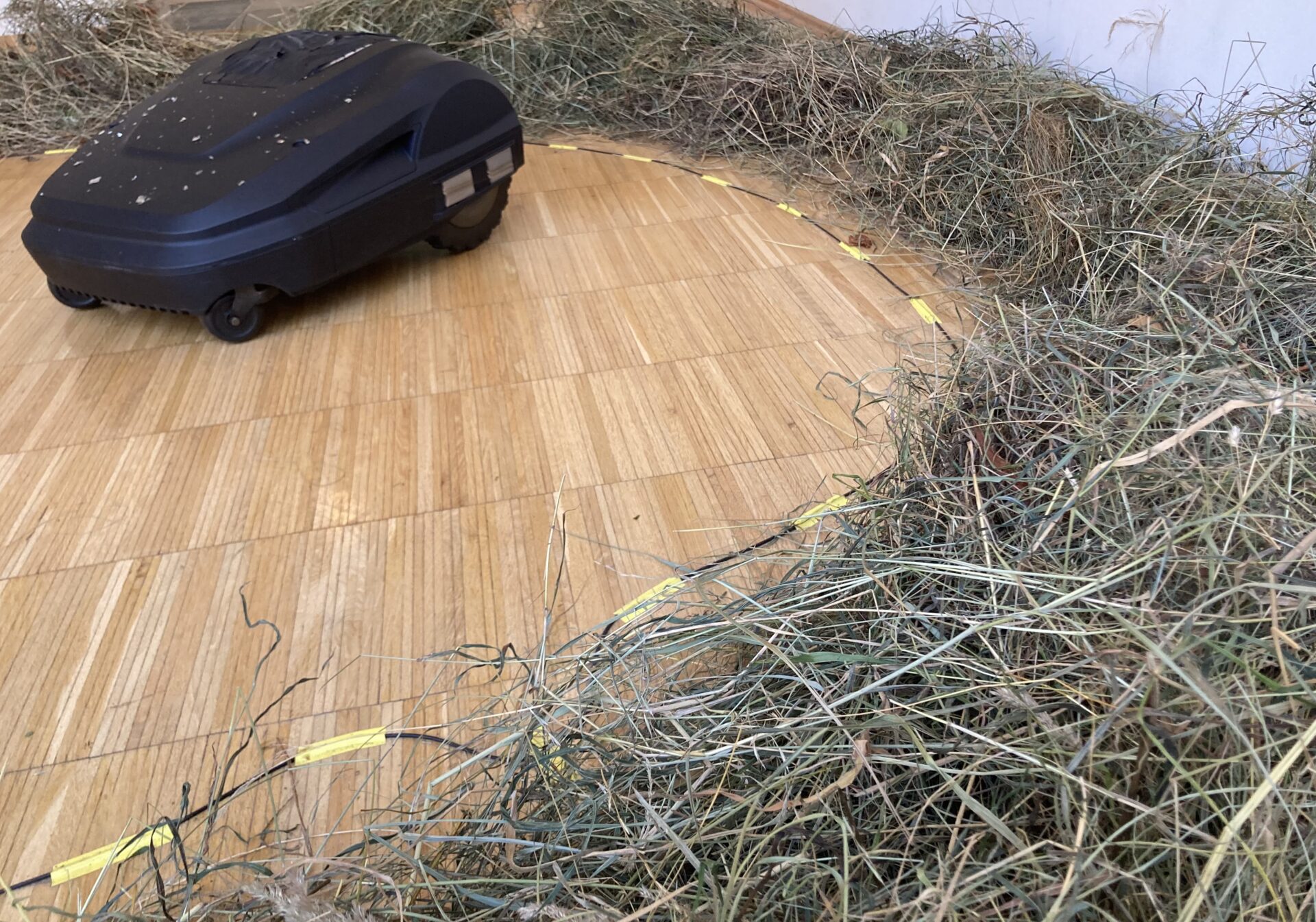 ISA KLEE - Parallel Vienna